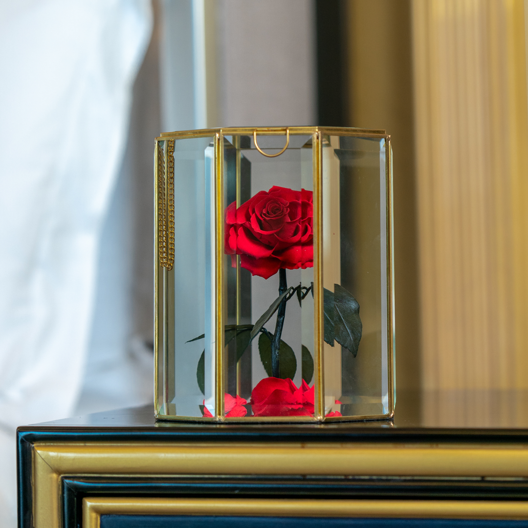 The Eight Windows - Small – MyForeverRoseUAE - House of Luxury General ...