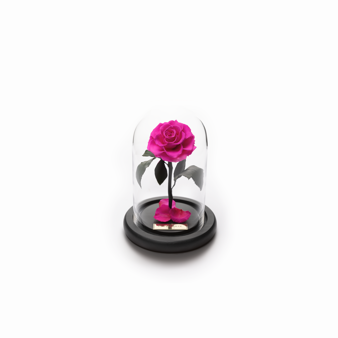 Bella Mini Me – MyForeverRoseUAE - House of Luxury General Trading LLC
