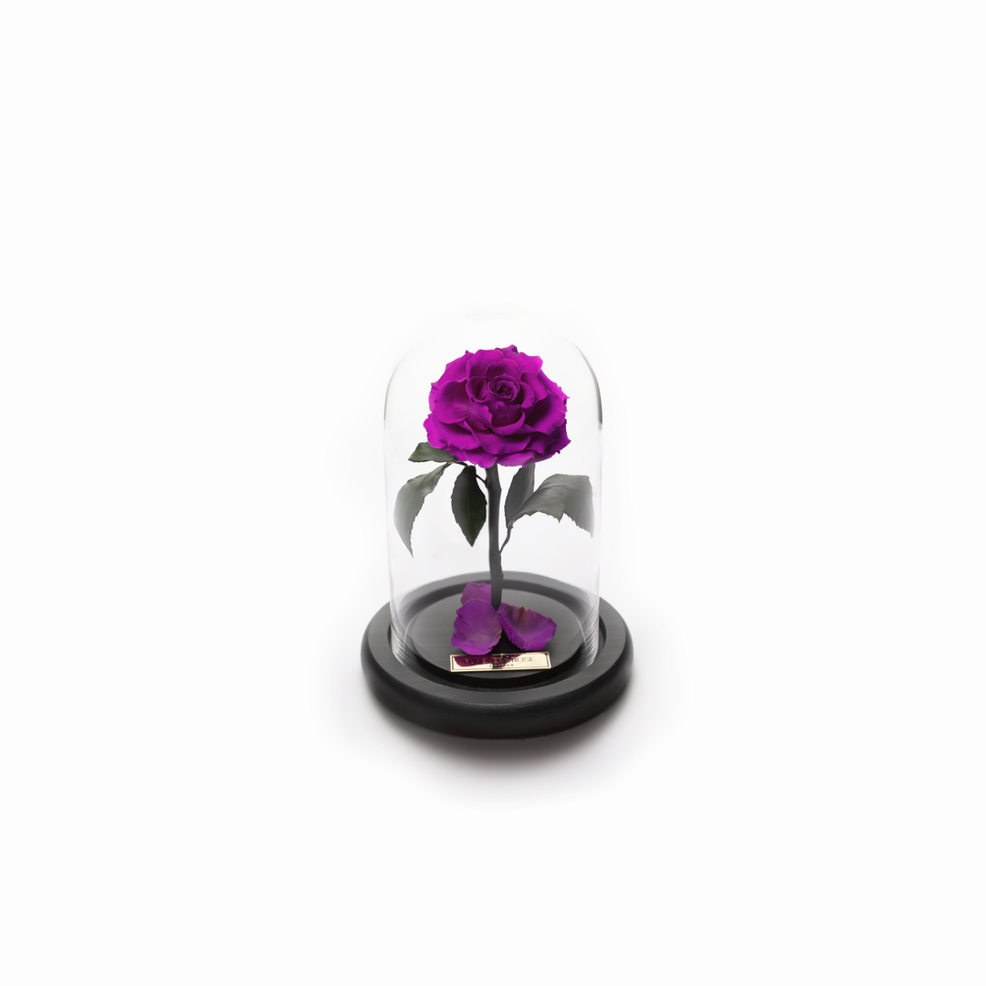 Bella Mini Me – MyForeverRoseUAE - House of Luxury General Trading LLC