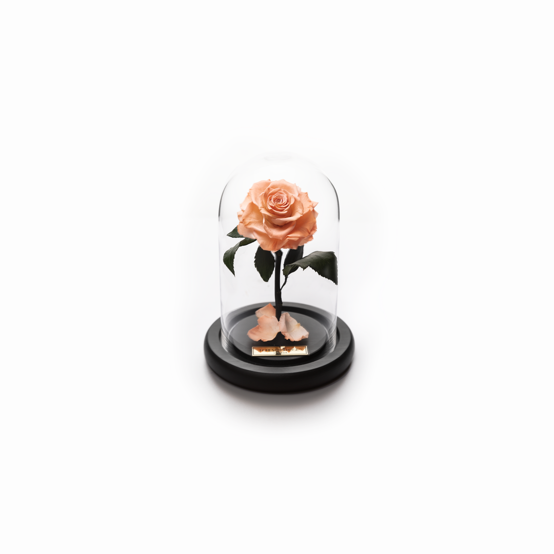 Bella Mini Me – MyForeverRoseUAE - House of Luxury General Trading LLC