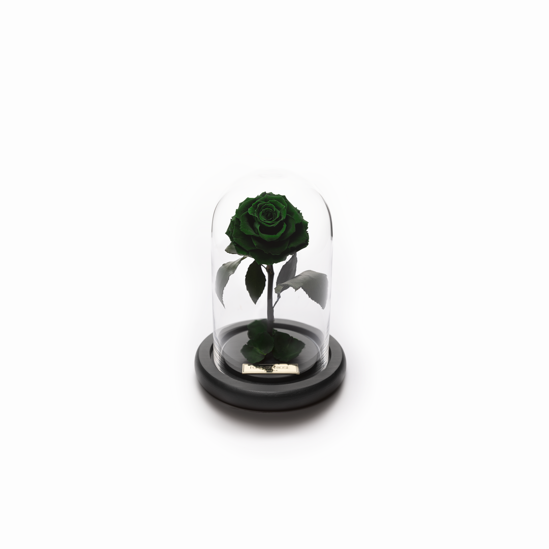 Bella Mini Me – MyForeverRoseUAE - House of Luxury General Trading LLC