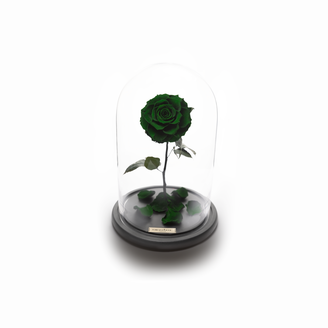 Bella Rose – MyForeverRoseUAE - House of Luxury General Trading LLC
