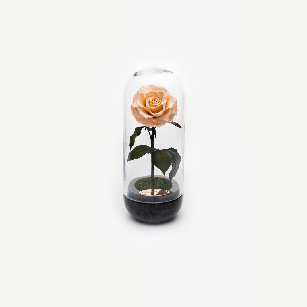 The Capsule Black – MyForeverRoseUAE - House of Luxury General Trading LLC
