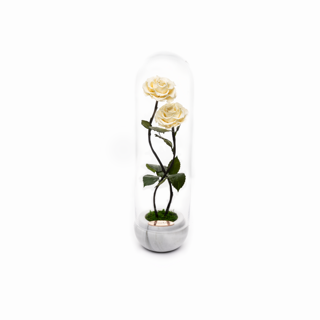 The Infinity White – MyForeverRoseUAE - House of Luxury General Trading LLC