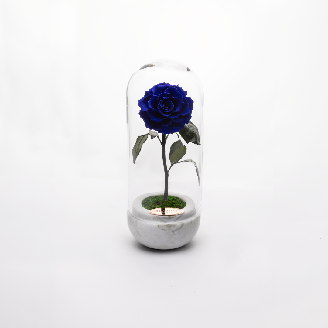 The Capsule White – MyForeverRoseUAE - House of Luxury General Trading LLC