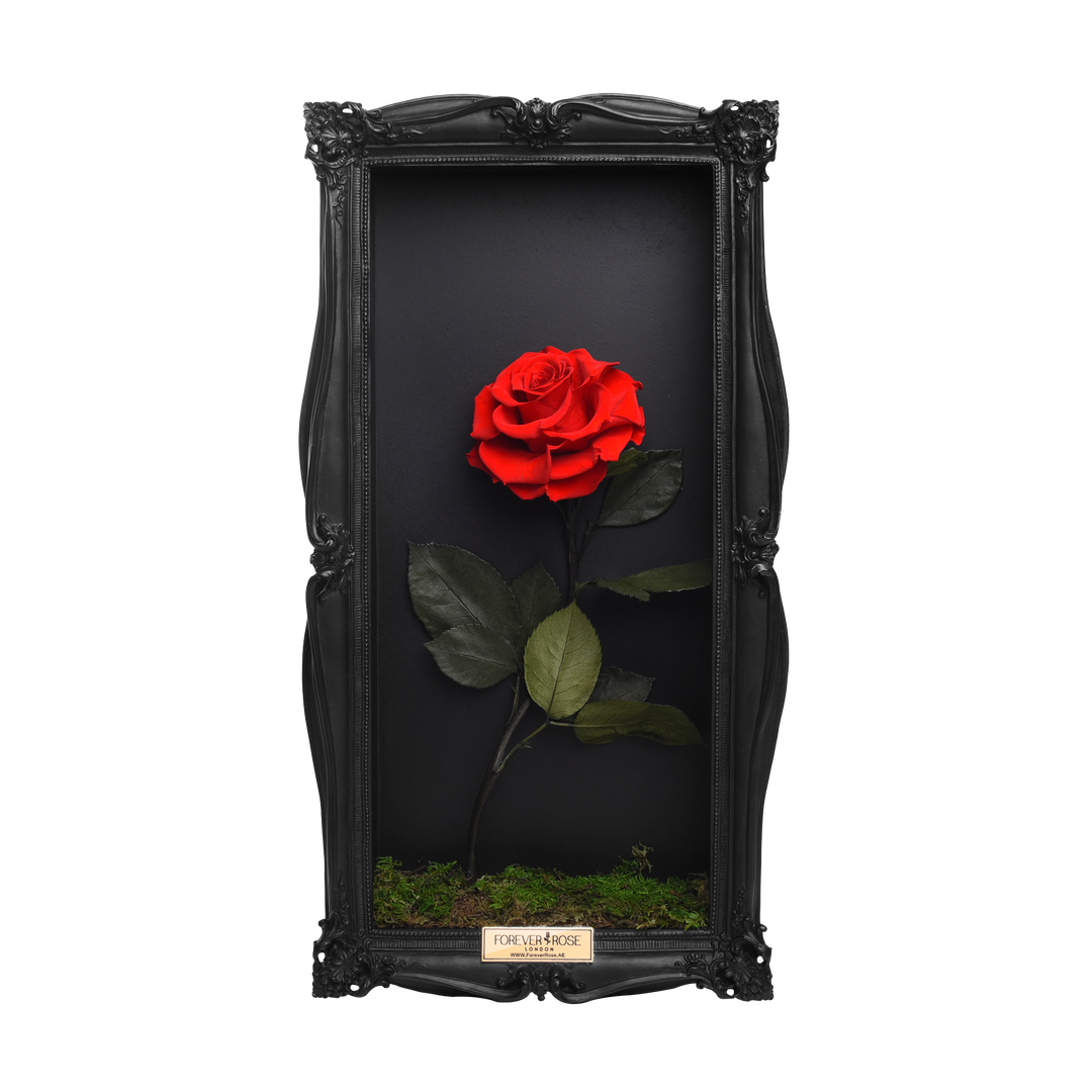 Wall Frame Black-Single Rose – MyForeverRoseUAE - House of Luxury ...